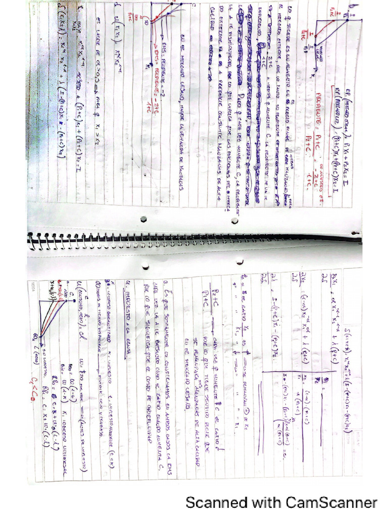 Tp1 Microeconomía Basso (Parte 4) | PDF