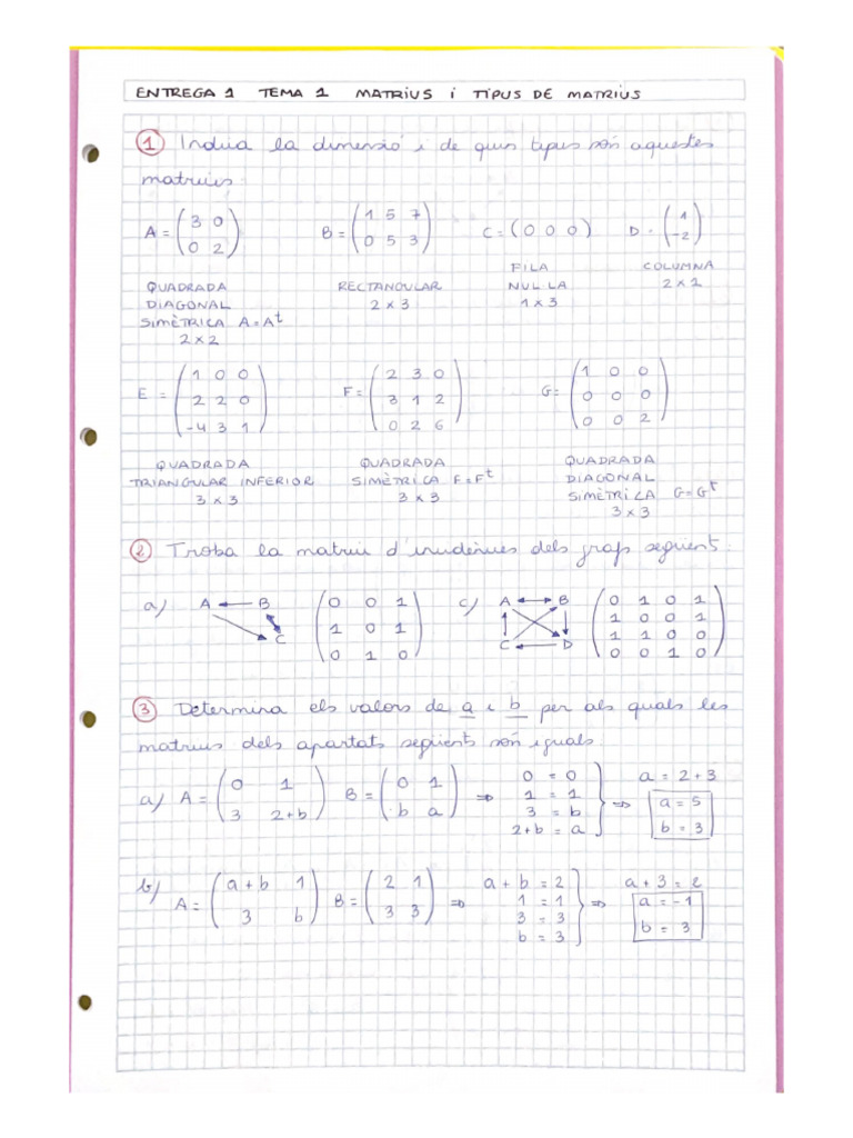 Entrega 1 Tipus de Matrius | PDF