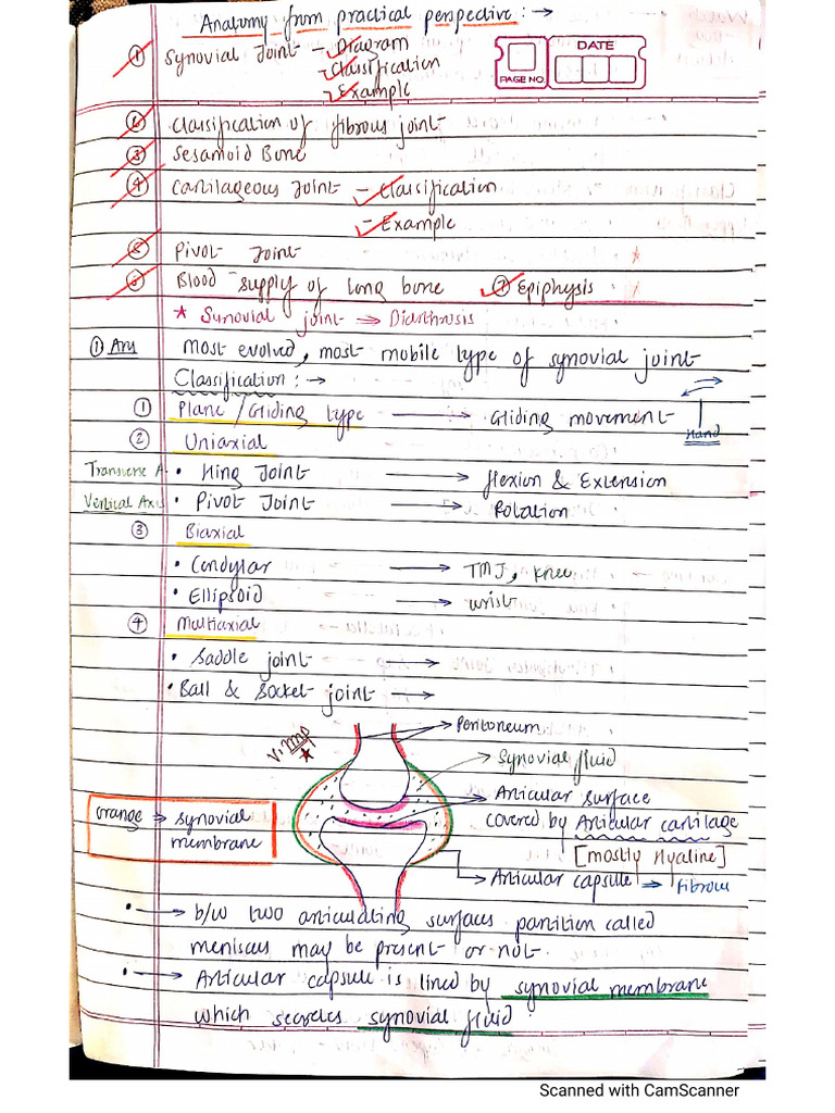 General anatomy lectures | PDF