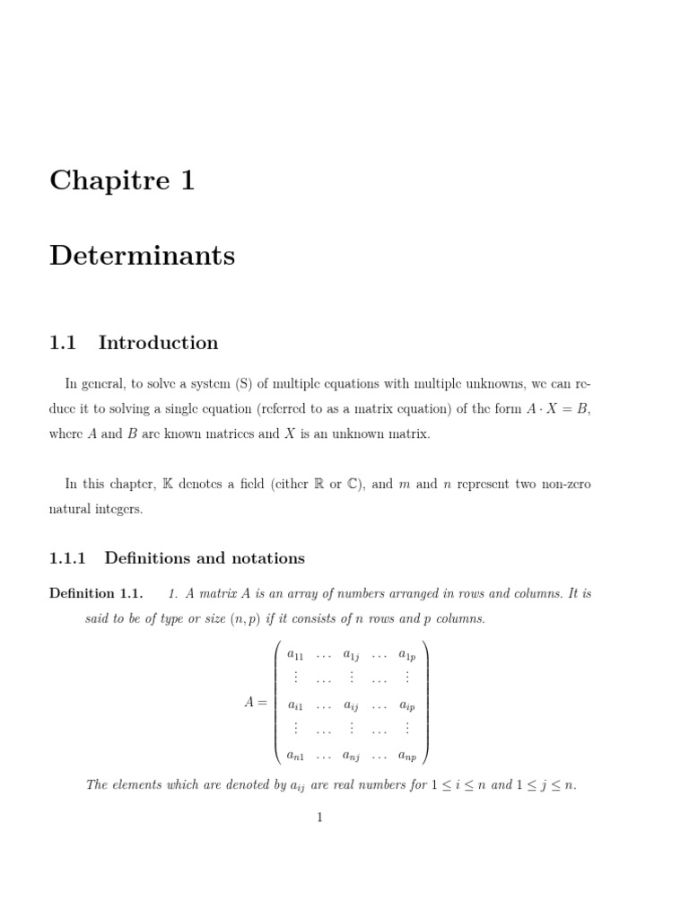 chapter1-algebra3 | PDF | Matrix (Mathematics) | Determinant