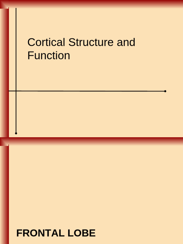 Frontal Lobe and Temporal Lobe Dysfunctions | PDF | Temporal Lobe | Auditory System