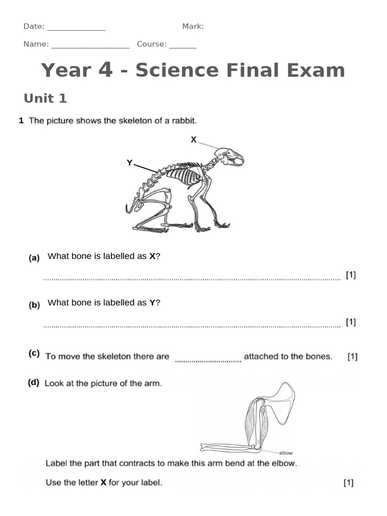 4th - Science Final Exam | PDF