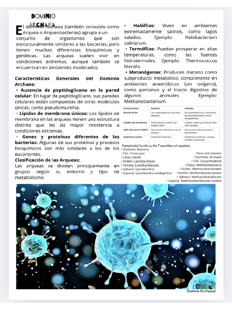 Archaea | PDF