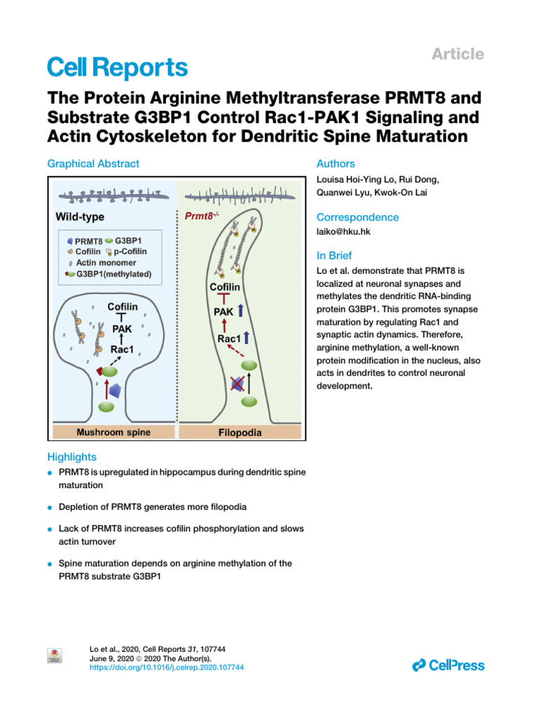 Lo Et Al. 2020 Cell Rep | PDF | Synapse | Dendrite