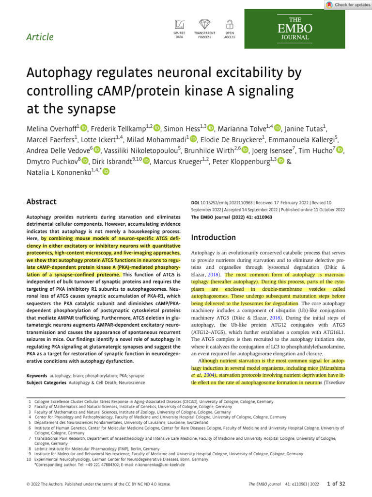 overhoff-et-al-2022-autophagy-regulates-neuronal-excitability-by ...