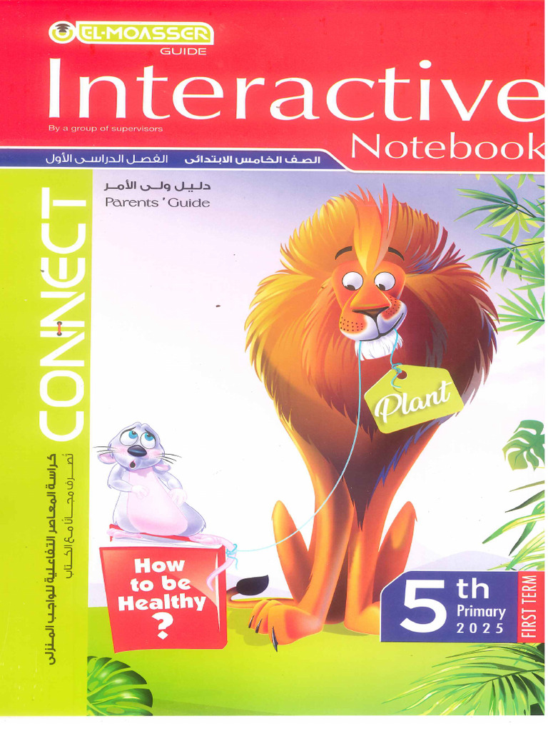 SYSTOOLS Overview and Insights | PDF