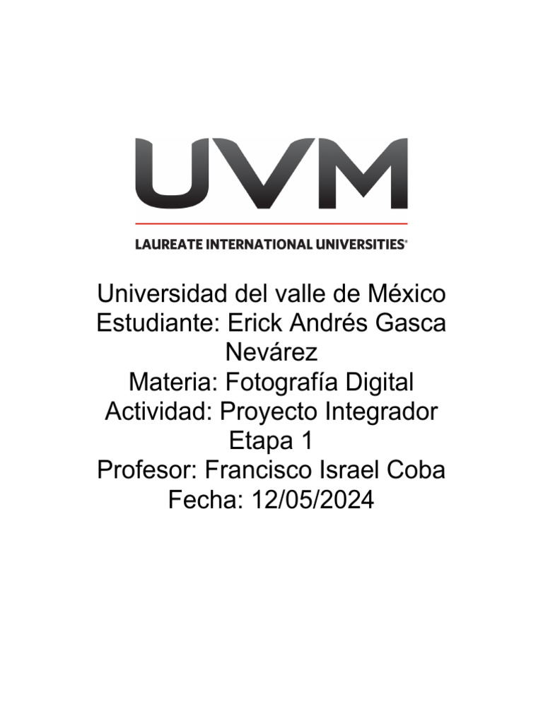 EAGN PROYECTO INTEGRADOR 1 | PDF | Retrato