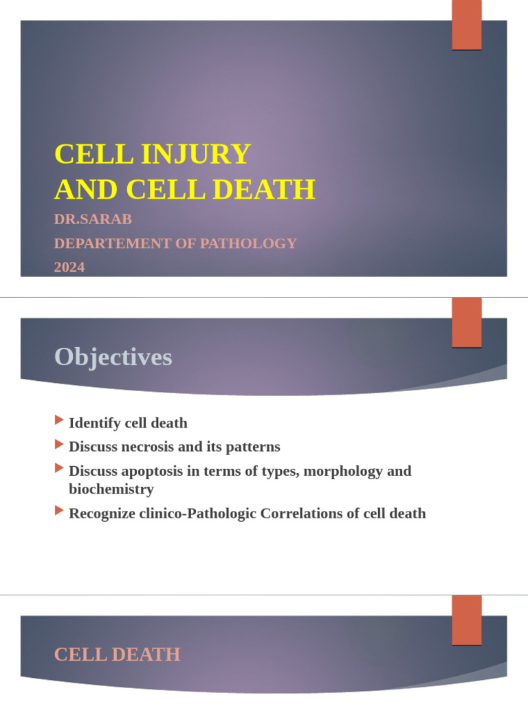 Understanding Cell Injury and Death | PDF | Necrosis | Apoptosis