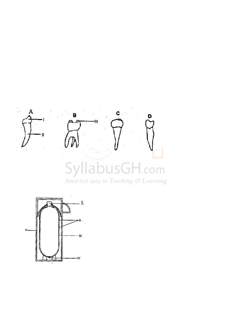 2023 Mock 3 Integrated Science 3 | PDF