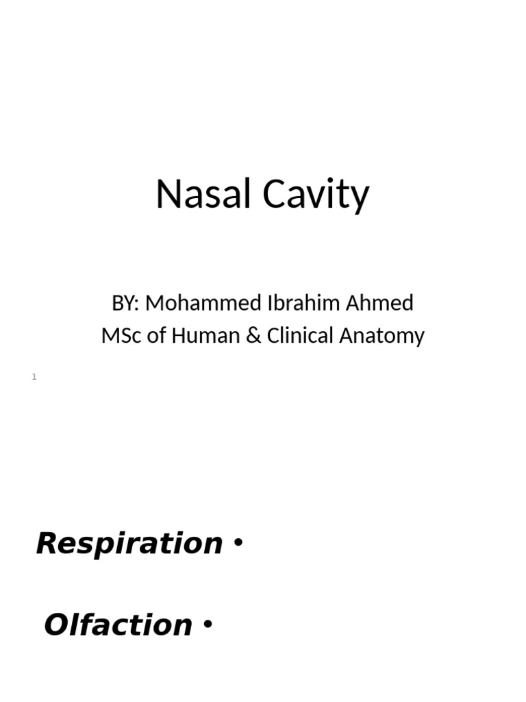 Nasal Cavity Lecture | PDF | Human Nose | Respiratory System