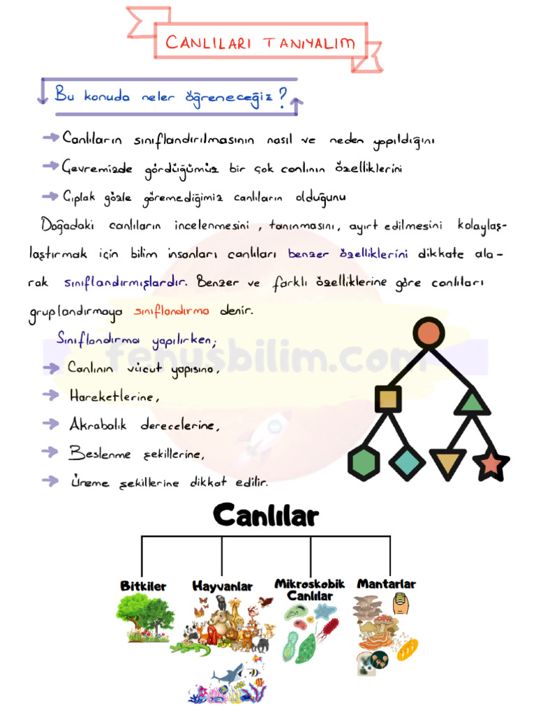 5.sinif Canlilari Taniyalim Fenusbilim Ders Notu | PDF