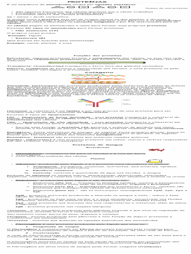 Resumo Proteínas | PDF