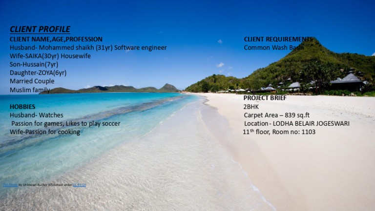 Client Profile 2 | PDF