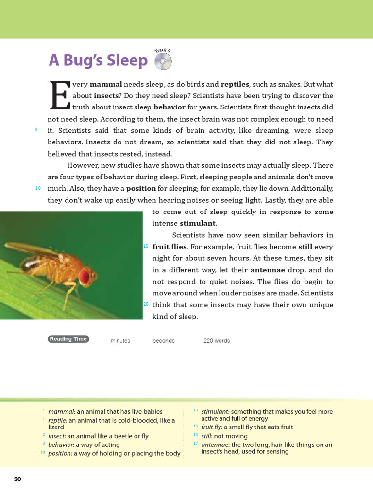 A Bug’s Sleep | PDF | Sleep | Insects