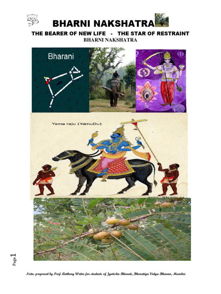 Bharani Nakshatra BVB | PDF