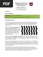 Ejercicios Percepcion Visual | PDF