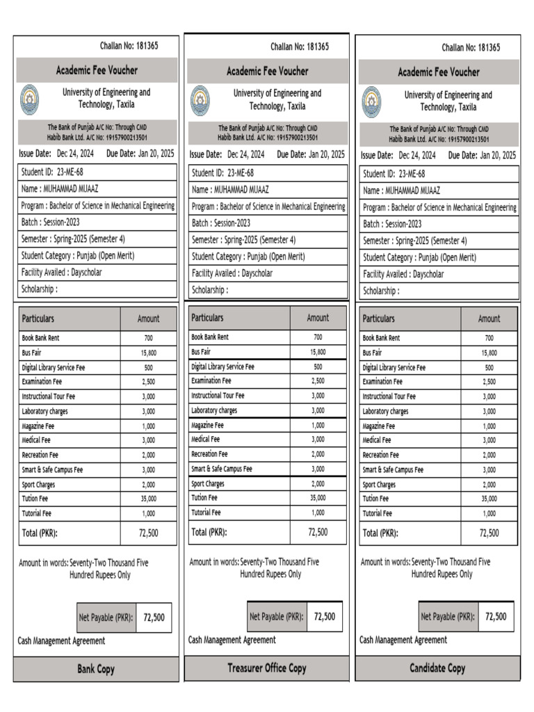 Academic Fee Voucher Academic Fee Voucher Academic Fee Voucher | PDF ...