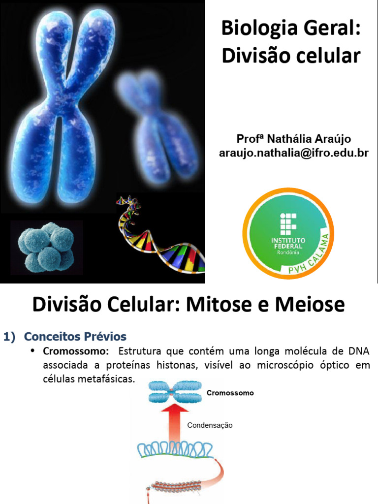Cópia de Divisao Celular - PPTX | PDF | Meiose | Mitose