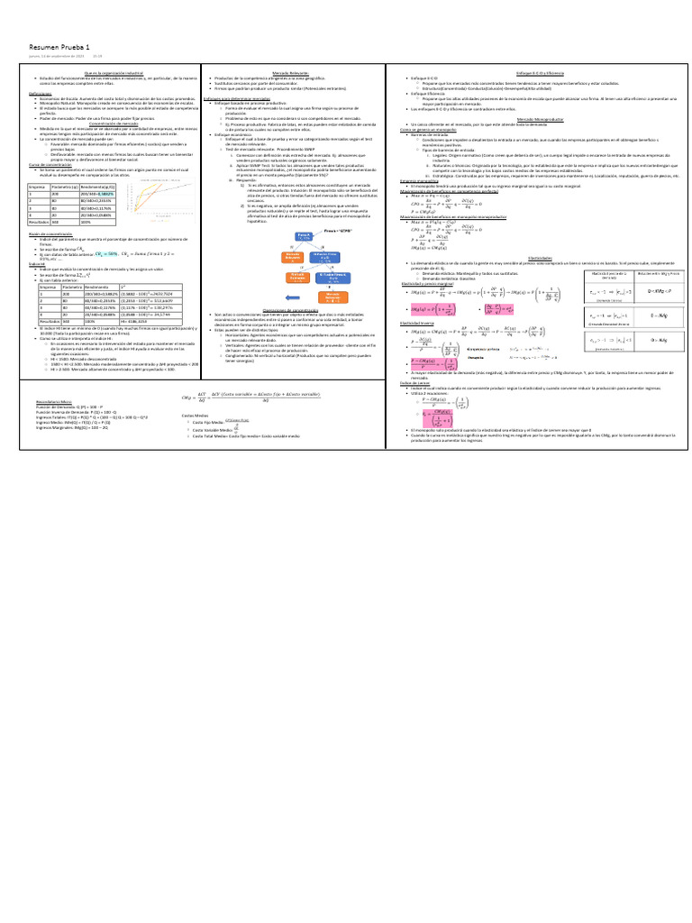 Resumen Prueba 1 Orga | PDF | Monopolio | Mercado (economía)