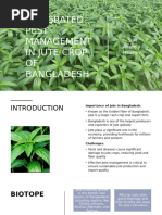 Gundhi Bug Zoo | PDF | Rice | Insects