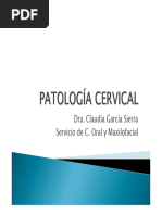Patología de Arcos Branquiales en Niños | PDF | Cabeza y cuello humanos ...