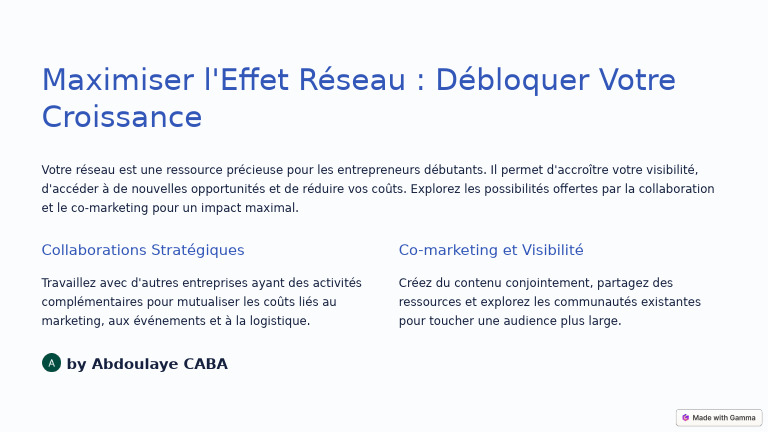 Maximiser-lEffet-Reseau-Debloquer-Votre-Croissance | PDF