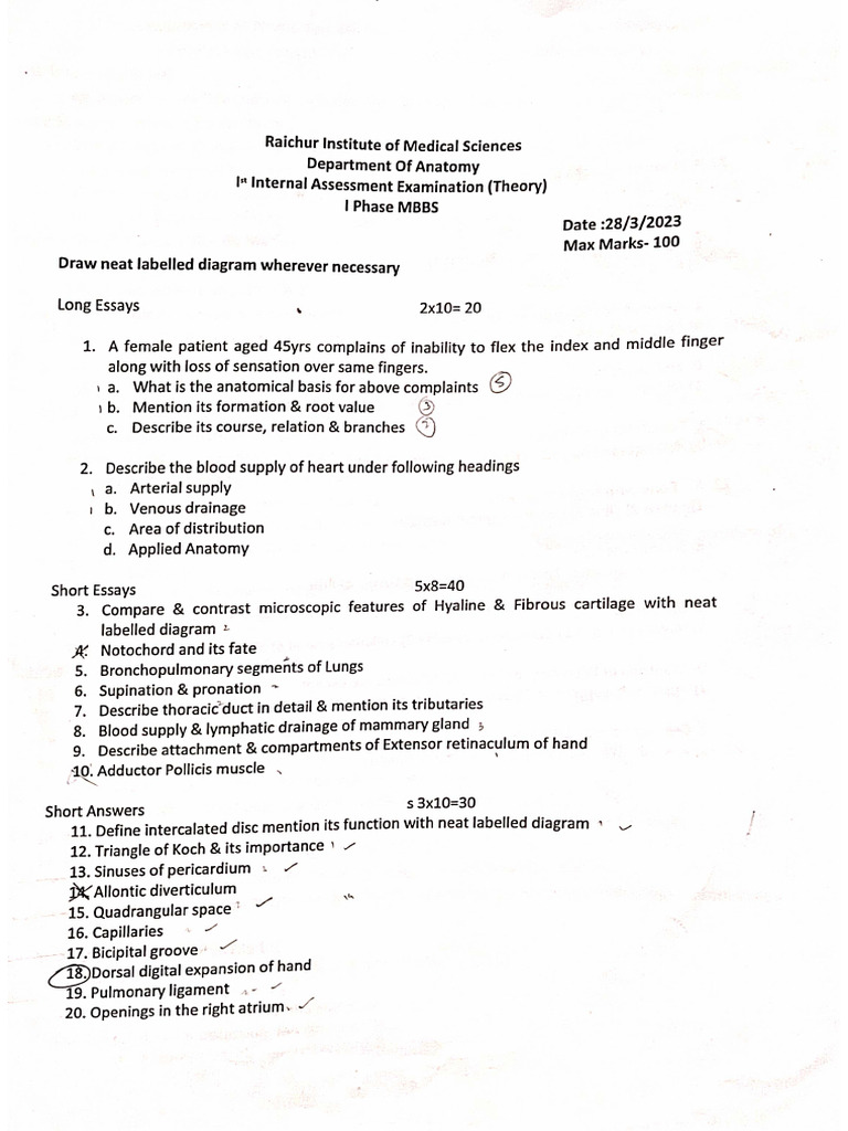 Internal Questions Papers 2022 | PDF