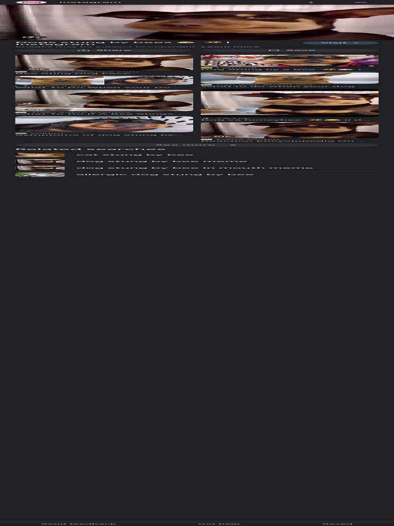 Dog Stung by Bee - Google Search | PDF