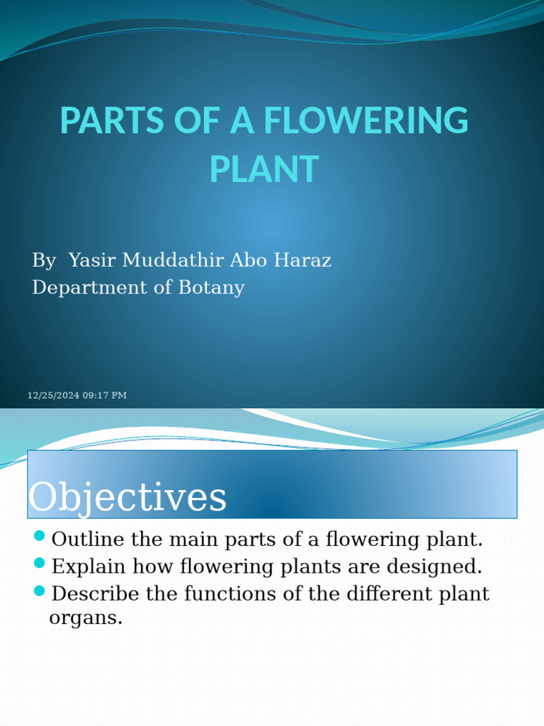 Parts of A Flowering Plant | PDF