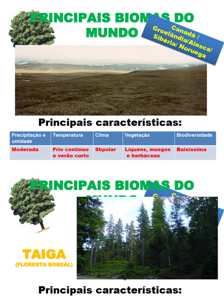 biomas do mundo | PDF | Florestas | Savana