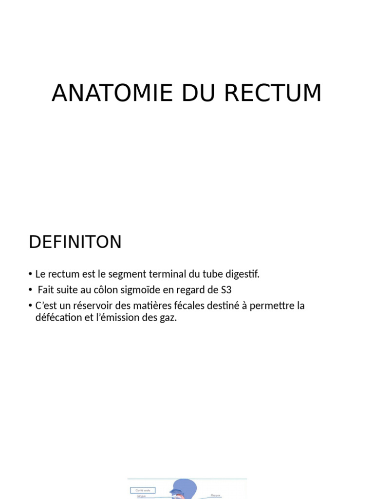 Anatomie et dimensions du rectum | PDF | Rectum | Bassin (anatomie)