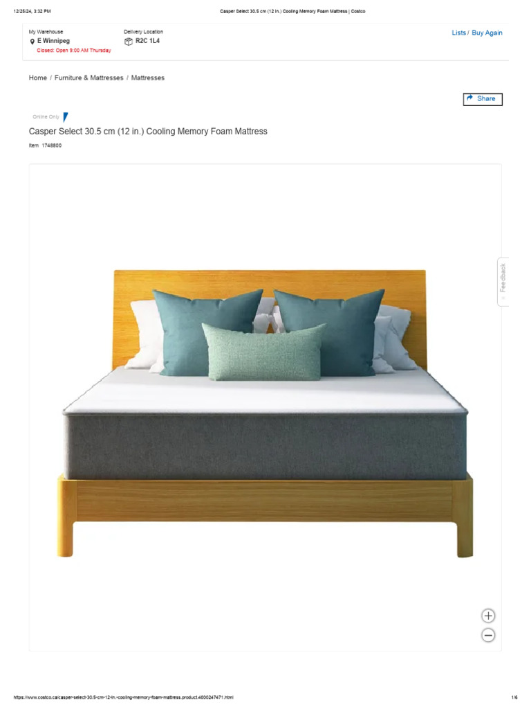 How To Do Shopping in Costco | PDF | Mattress | Costco