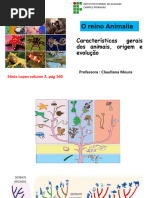 Simetria Corporal em Animais | PDF | Sistema nervoso | Corpo humano