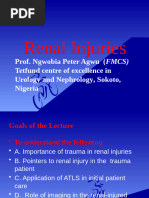 AAST Renal Injury Scale | PDF | Kidney | Injury