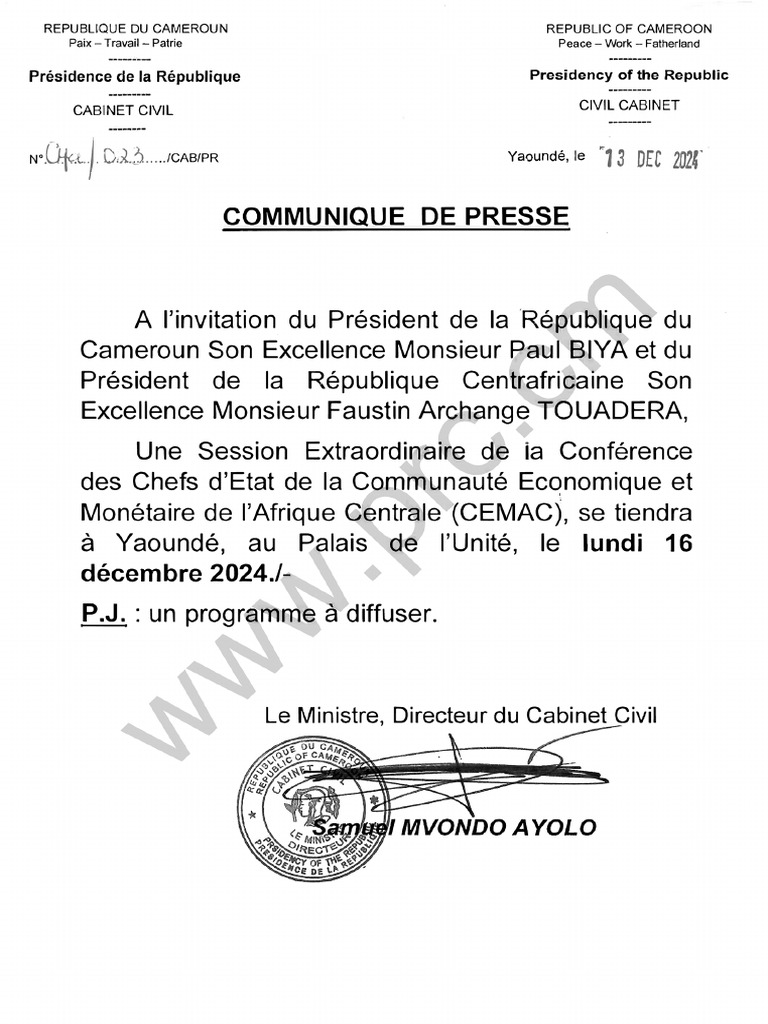 Communique de Presse Cemac 2024 | PDF