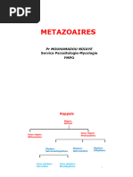 Définition et classification des métazoaires | PDF | Anatomie | Biologie
