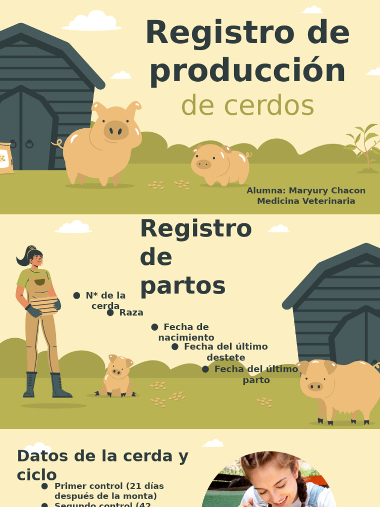 Registro de Produccion de Cerdos | PDF