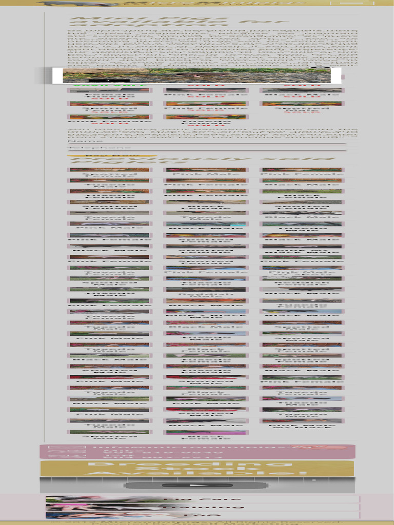 Micro Mini Pigs | PDF | Pig