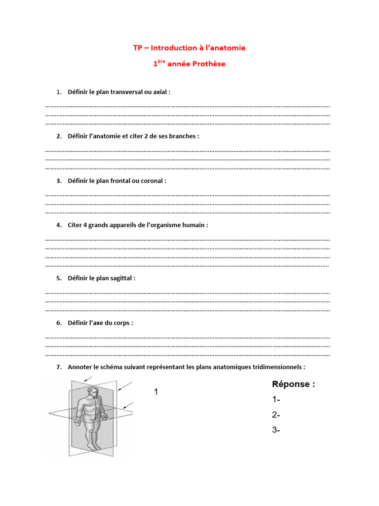 TP - Introduction À L'anatomie 1 Année Prothèse: Réponse | PDF