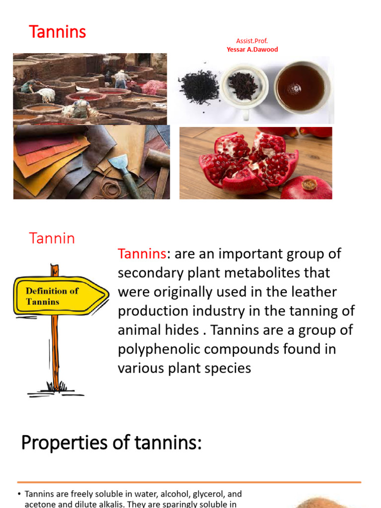 Tannins 5 | PDF | Polyphenol | Chemical Compounds