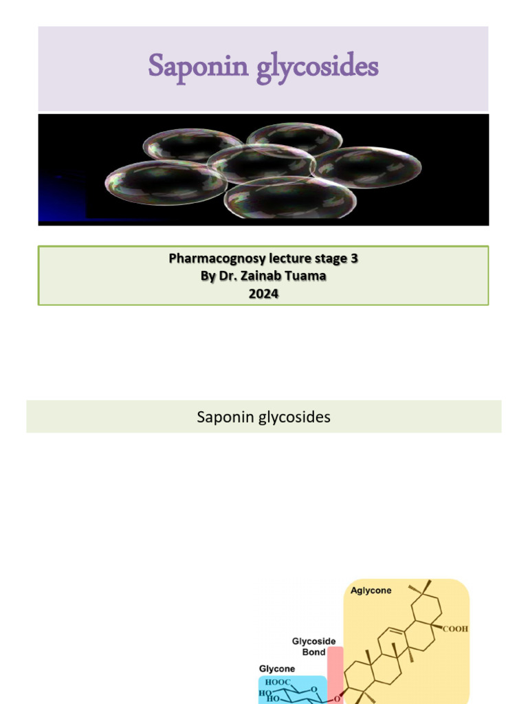 Saponin Glycosides - 2024 PDF | PDF | Steroid | Organic Compounds