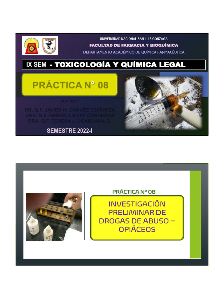 TQL - PRACTICA 08-Reconocimiento Opiaceos | PDF | Cromatografía | Opio