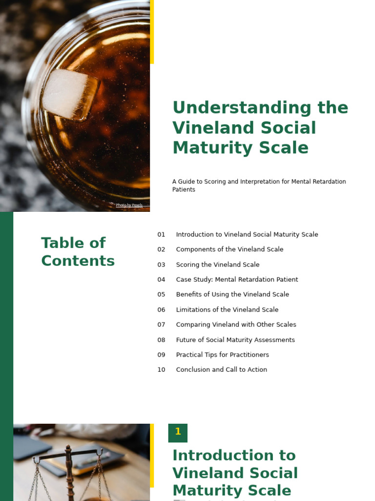 Understandingthe Vineland Social Maturity Scale 1 F 15 B 7 FD 7 A 69 Eaef | PDF | Intellectual ...