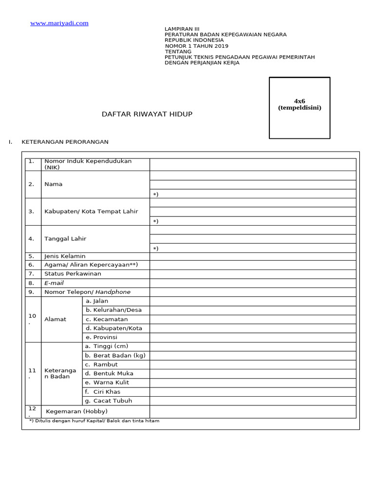Daftar Riwayat Hidup PPPK | PDF