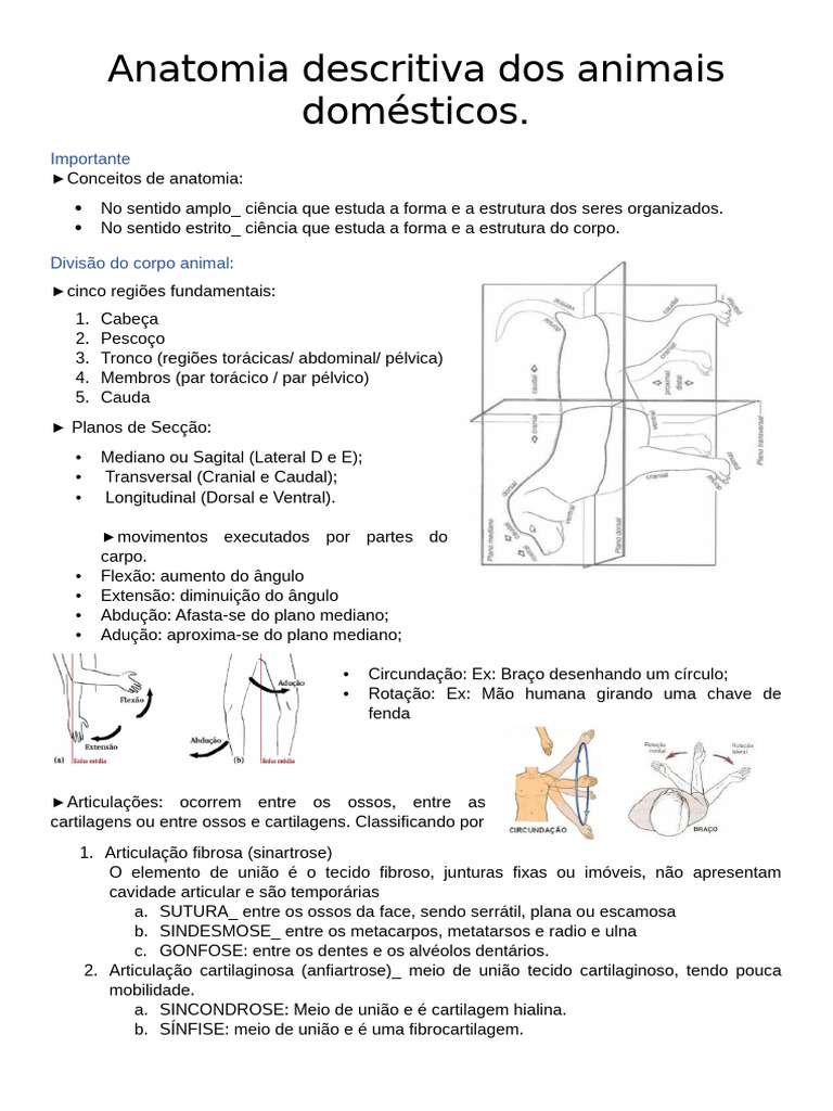 Anatomia Descritiva Dos Animais Domésticos | PDF | Osso | Anatomia humana