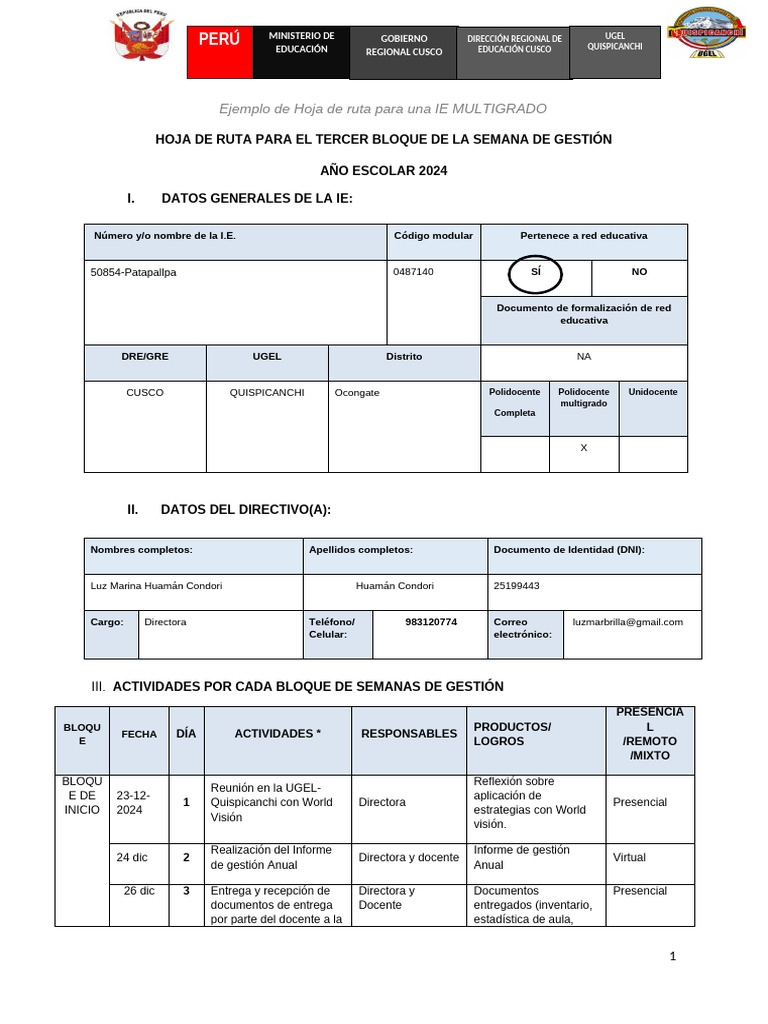 Hoja de Ruta para Una IE Multigrado | PDF | Documento de identidad