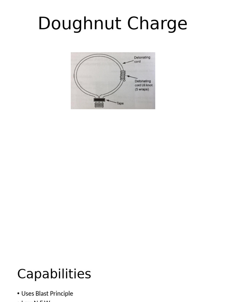 Doughnut Charge | PDF