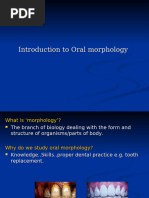 Dental Anatomy: Teeth Nomenclature & Numbering | PDF | Dental Anatomy ...