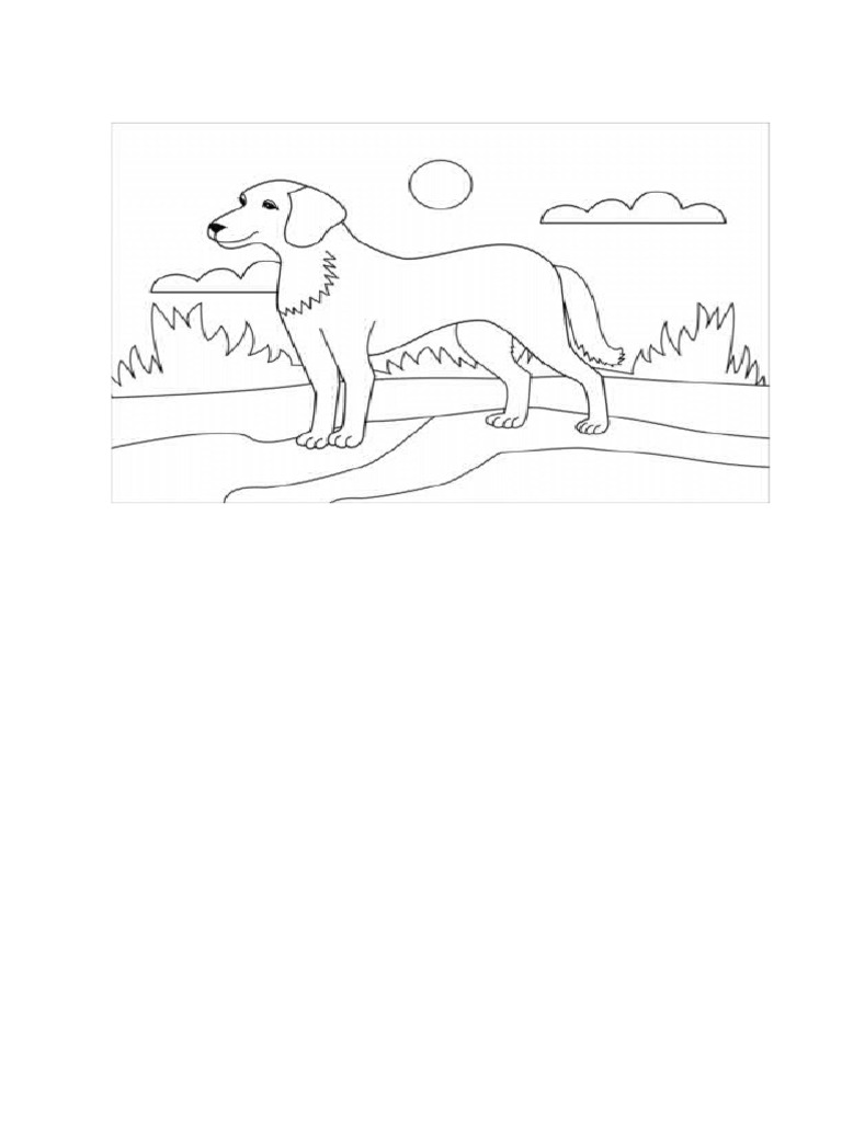 Dog | PDF