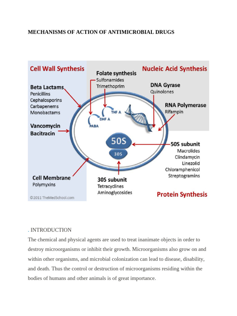 Mechanisms of Action of Antimicrobials | PDF